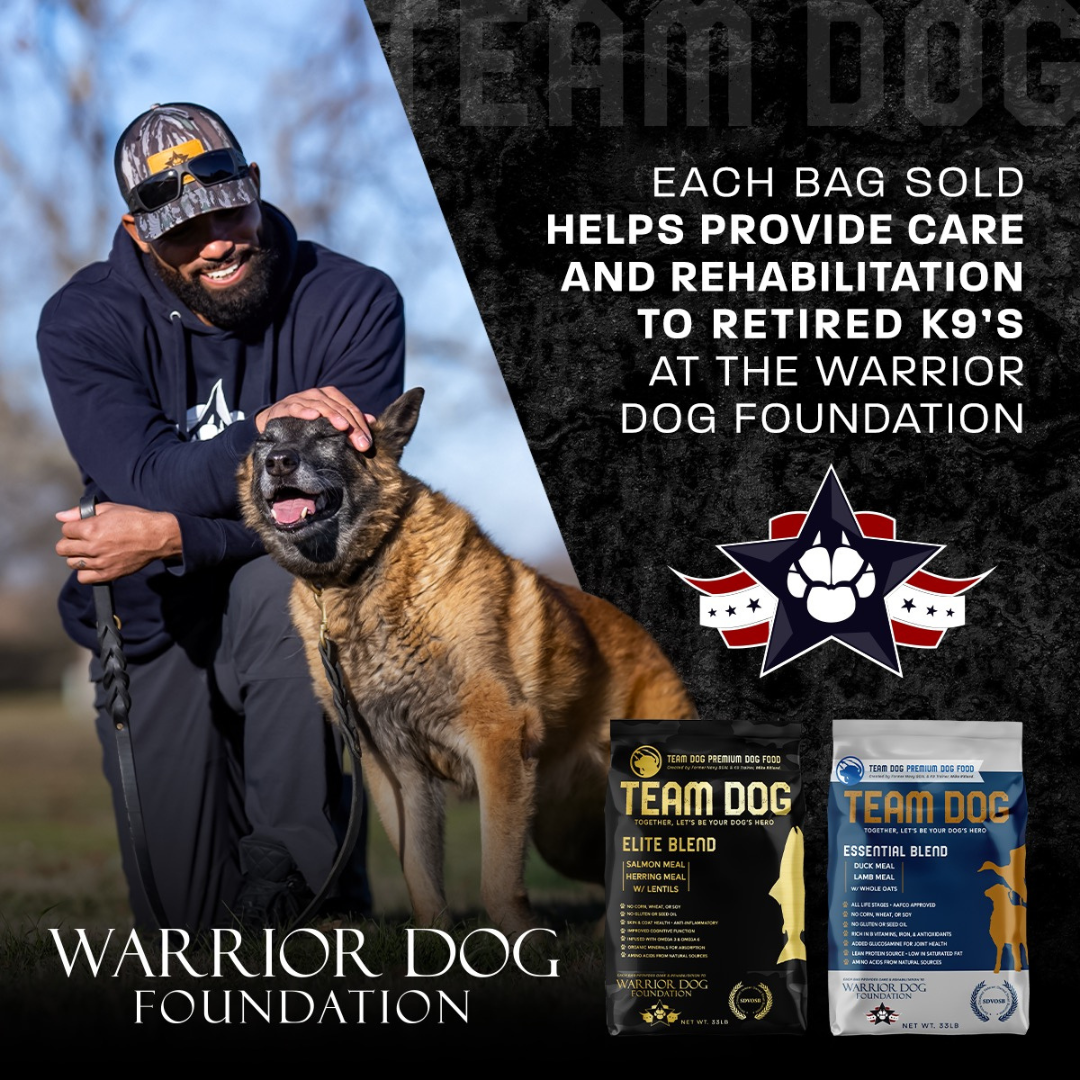 The Team Dog Story