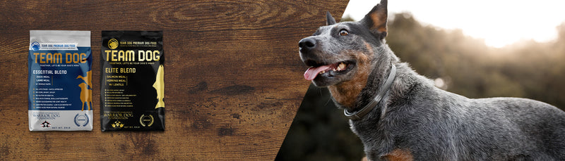 Team Dog Shop | Shop for the best dog food, treats, and supplements