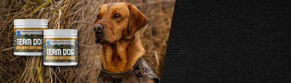 Team Dog Shop | Shop for the best dog food, treats, and supplements