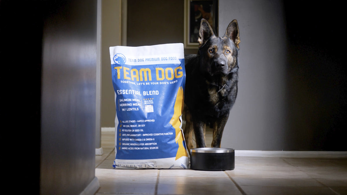 Team Dog Shop | Shop for the best dog food, treats, and supplements